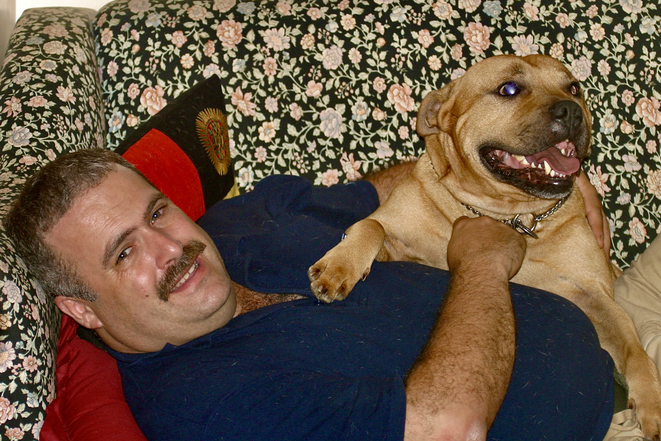 Kevin Vang | 500 Queer Scientists : 500 Queer Scientists